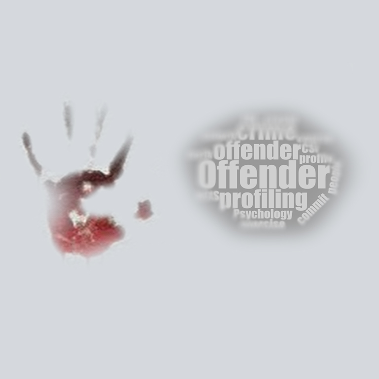 What is Offender Profiling and is it accurate? - CrimePsych